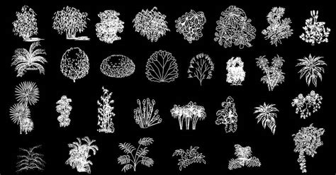 Bushes Cad Blocks Free Download Dwg Elevation Views Cad Blocks Dwg