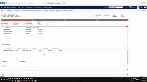 Tip 693 Tipster Guide To Dynamics Crm Project Services Sales