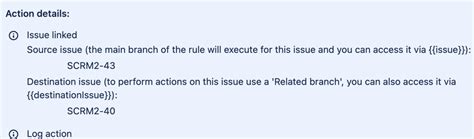 Automation Rulecopy The Reporter From Destination Issue To Source