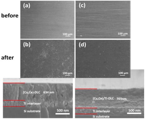 SEM Surface Morphologies Before And After Immersed In NaCl Download Scientific Diagram
