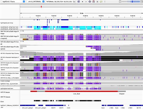 Issue Chr14paternal18345006 18345006 · Issue 453 · Marblhg002