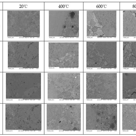 Exposed To Different High Temperature Environments 114 1 Control Download Scientific Diagram