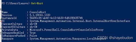 内网渗透 Powershell简介powershell脚本的扩展名 Csdn博客
