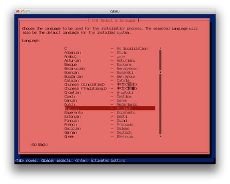linux qemu weird display output when install debian on mac osx