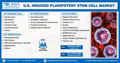 Us Induced Pluripotent Stem Cell Ipsc Market Report 2024 2032