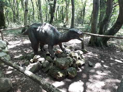 დინოზავრის ნაკვალევი სათაფლიაში საქართველოს ბილიკებზე Facebook