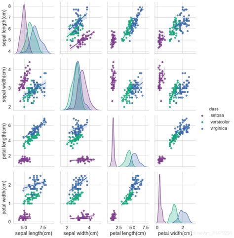Python中seaborn如何绘制矩阵图 开发技术 亿速云