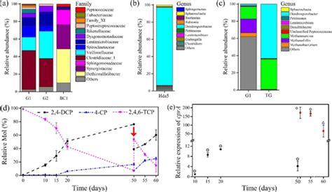 【派森诺多组学项目文章】 If11 4 宏蛋白组 代谢组 宏基因组助力研究海洋微生物在2 4 6 Tcp脱卤过程中的响应机制 知乎