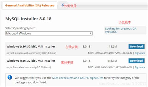 Windowswindows Server下mysql可执行文件的安装与配置可执行文件操作mysql Csdn博客