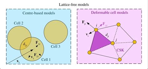 Schematic Overview Of Off Lattice Models The Left Panel Illustrates