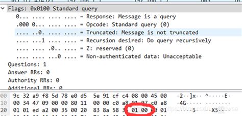 Dns迭代查询 递归查询 源码巴士