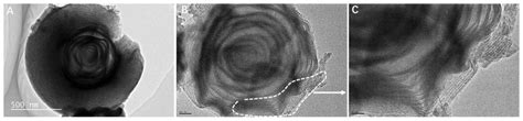 Multifunctional Mesoporous Biological Material Preparation Method And