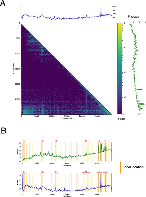 A Heatmap Of 5 Breakpoint Vs 3 Breakpoints From Long Read