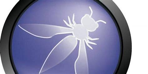 Paulius Leščinskas On Linkedin Today Im Giving A Talk At Owasp Lithuania Chapter On The Best