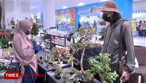 Bonsai Pohon Imut Yang Estetik Dan Banyak Diminati TIMES Indonesia