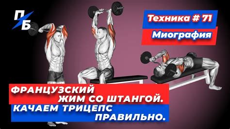 Французский жим со штангой Качаем трицепс правильно Youtube