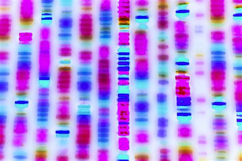 Artificial Intelligence Stanford Report