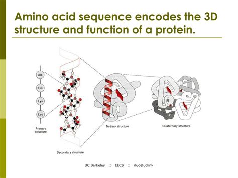 Ppt Determine Protein Structure From Amino Acid Sequence Ray Luo Uc