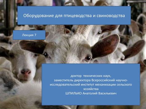 Оборудование для птицеводства и свиноводства - презентация онлайн