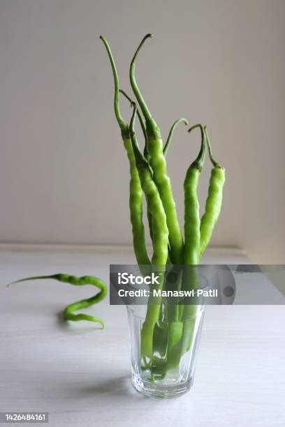 농장 신선한 유기농 그린 칠리 고추 녹색 배경의 바구니에 갓 수확 한 건강하고 매운 고추 공간을 복사합니다 0명에 대한 스톡 사진 및 기타 이미지 Istock