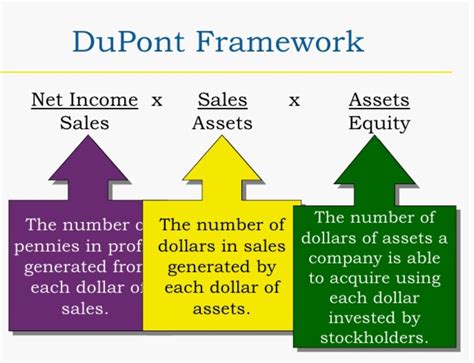 The Dupont Framework Acti Quant