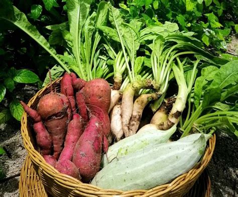 Mohamed Asif Posted On Linkedin