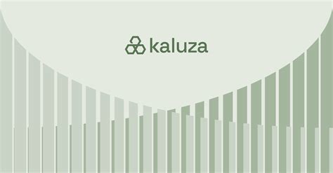 Kaluza Strengthens Position In Japans Clean Energy Market Kaluza