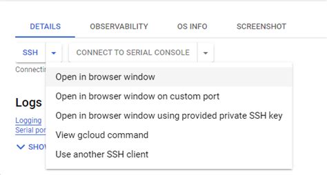 Setup And Installation Of Flowise And Langchain On Gcp