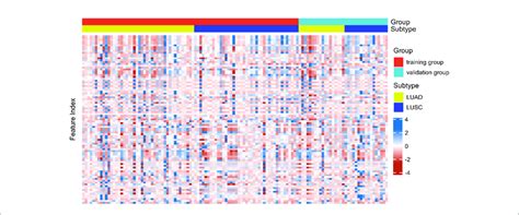 Heatmap Of 91 Radiomic Features In Columns Distributed In The