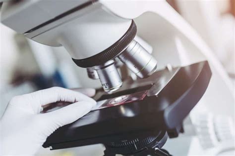 What Is The Difference Between A Telescope And A Microscope Microscope Clarity