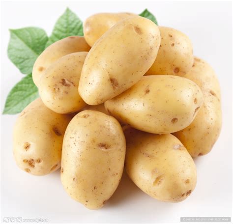 土豆 绿叶摄影图蔬菜生物世界摄影图库昵图网