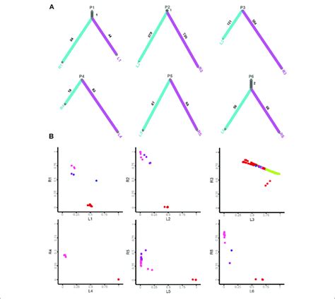 The Clonal Architecture And Evolution Analysis Of Srl Cc A The
