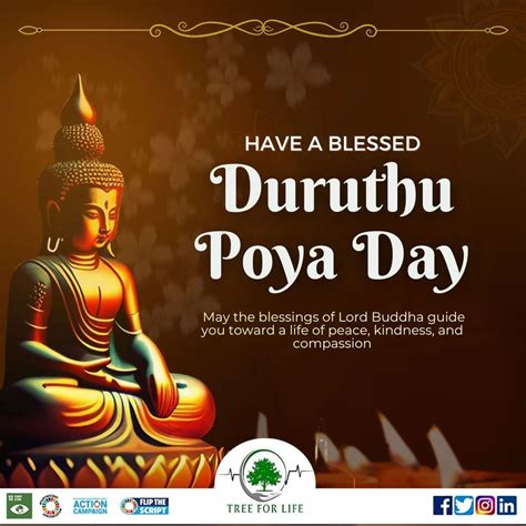 Sasindu Lakshan Posted On Linkedin