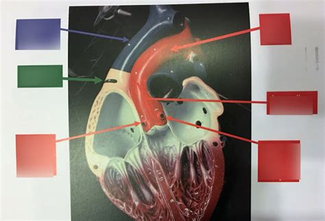 Lab Exam 2 Part 3 Diagram Quizlet