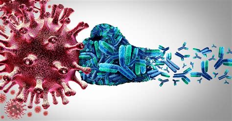 Anticorpi Su Misura Con Lingegneria Molecolare Laregione Ch