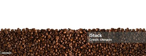 볶은 커피 원두 흰색 배경에 고립되어 있습니다 커피의 평면도 텍스트 공간을 복사합니다 국경 0명에 대한 스톡 사진 및 기타 이미지 Istock