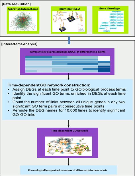 Figure 1 From Network Based Analysis Of Time Series Rna Seq Gene Expression Data By Integrating