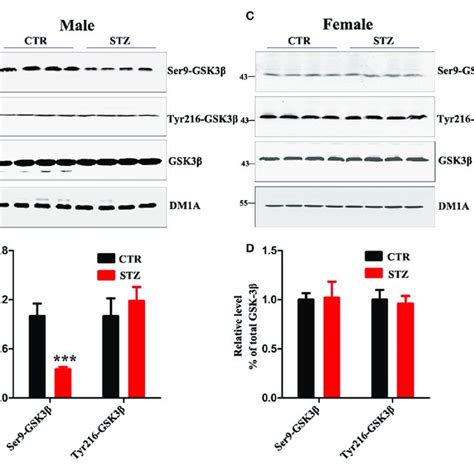 Sex Influences Loss Of Dendritic Plasticity In Sporadic Ad Animal