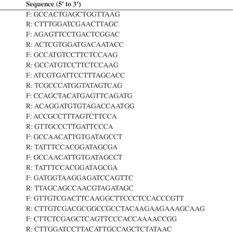The Primers Used For The Detection Of Genes And The Amplicon Size Of Download Scientific