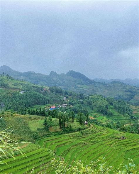 Vi Vu Xã Tả Củ Tỷ Bắc Hà Săn Mây Kết Hợp Khám Phá Vùng đất ‘nương Lúa To Xem Tin Tức