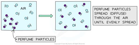 Diffusion Osmosis And Active Transport Edexcel Igcse Science Double Award Revision Notes 2017