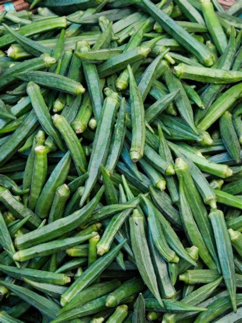 भेंडी खाण्याचे जबरदस्त फायदे वाचून व्हाल थक्क