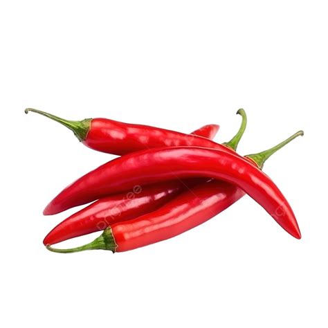 매운 빨간 고추 칠리 붉은 고추 핫 칠리 Png 일러스트 및 이미지 에 대한 무료 다운로드 Pngtree