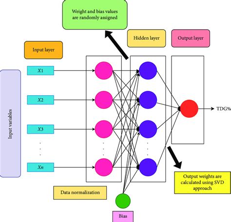 Extreme Learning Machine Elm Structure Download Scientific Diagram