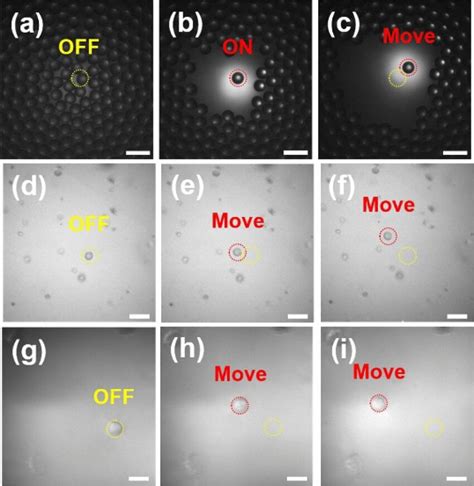 Acoustic Trapping Of A C The Targeted Single Polystyrene Microsphere Download Scientific
