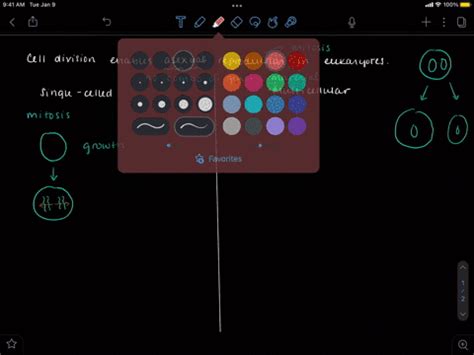 SOLVED Explain How Cell Division Enables Asexual Reproduction In Single Celled And Multicellular