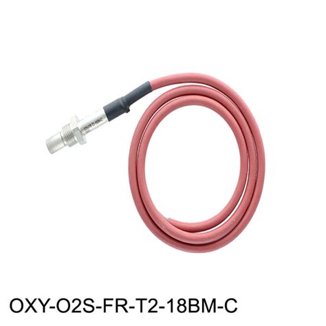 Zirconia Oxygen Sensor System