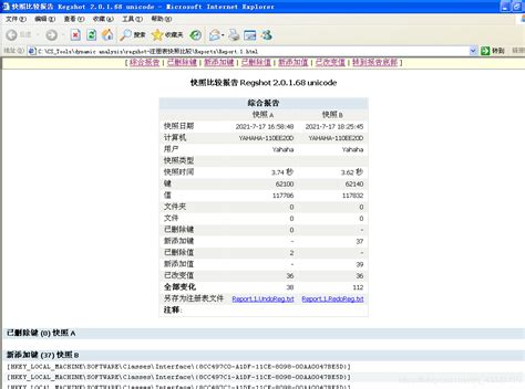 《恶意代码分析实战》第3章 动态分析基础技术（课后实验lab 3）恶意代码分析实战 Lab3 Csdn博客