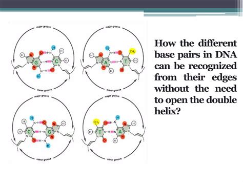 Transcriptional And Post Transcriptional Regulation Of Gene Expression
