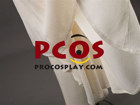 The Legend Of Zelda Breath Of The Wild Princess Zelda Cosplay Costume